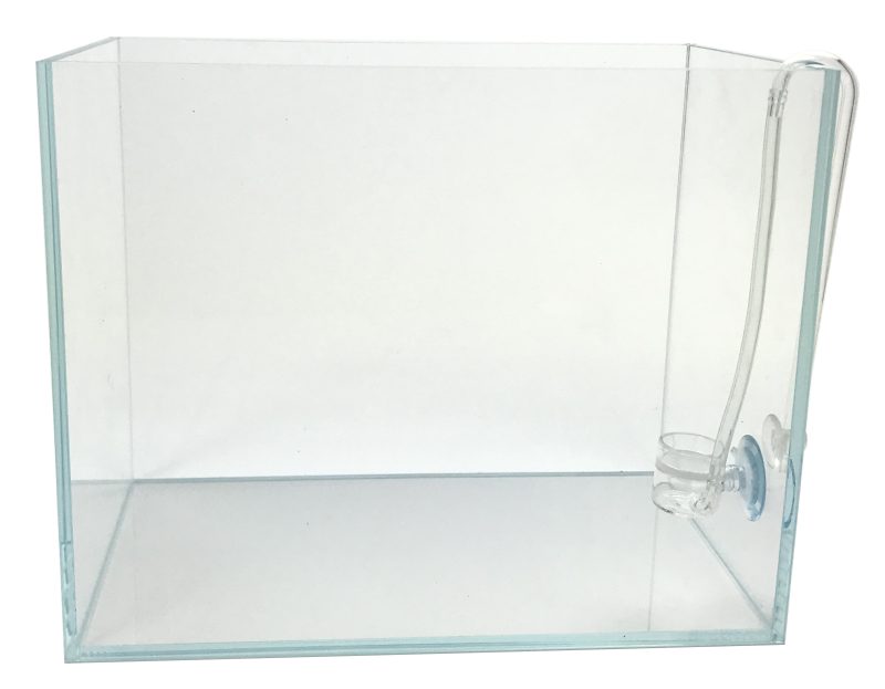 CO2 Glass Diffuser - Wide - Aquarium Connection