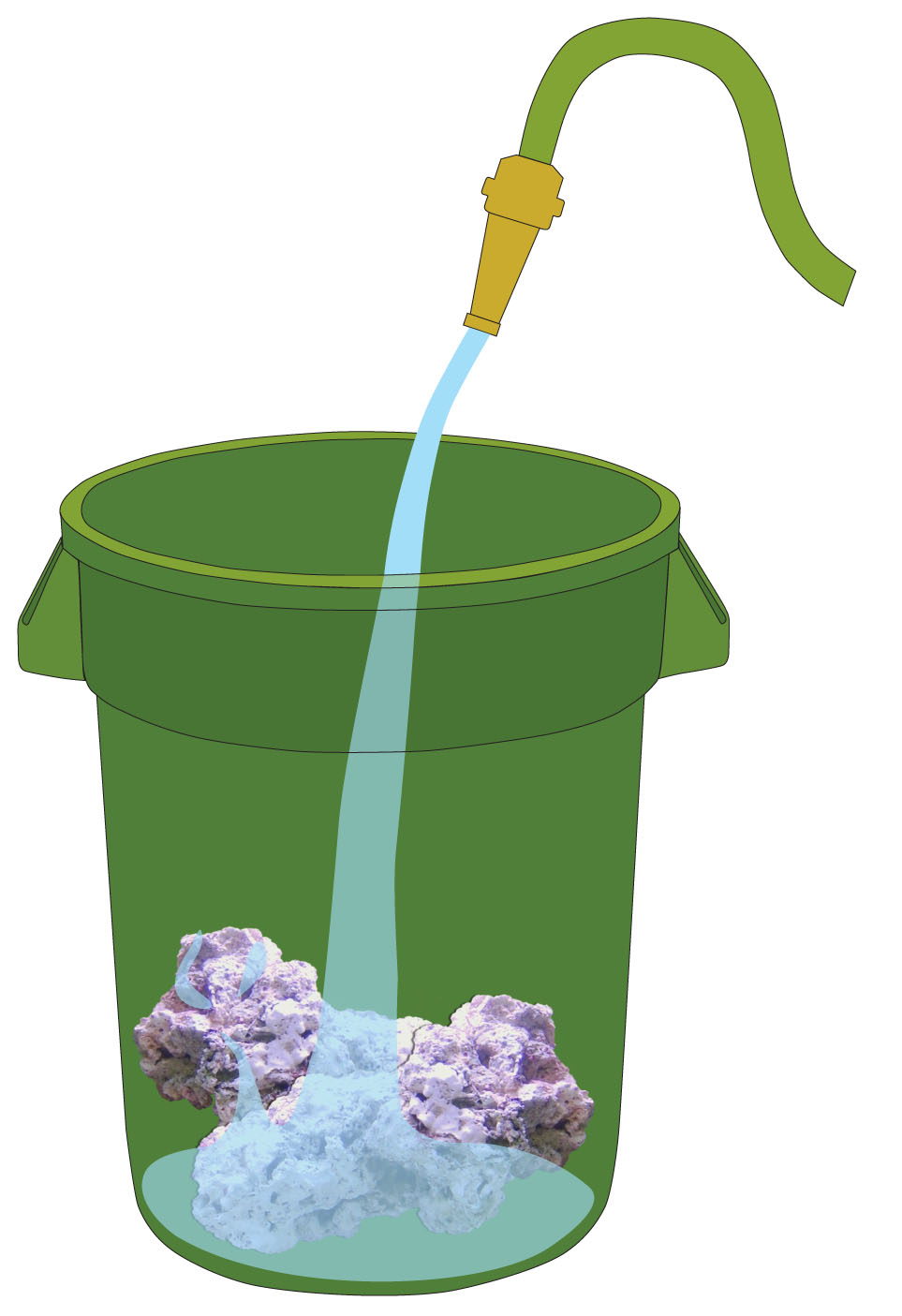 Bleaching (Cleaning) Synthetic Coral and Decorations Safely - Aquarium ...