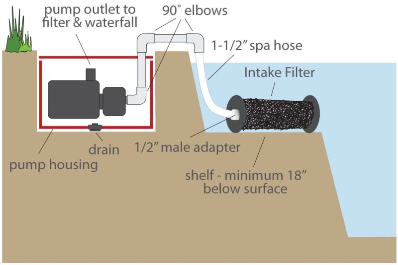 The Ultimate Koi Pond - Aquarium Connection