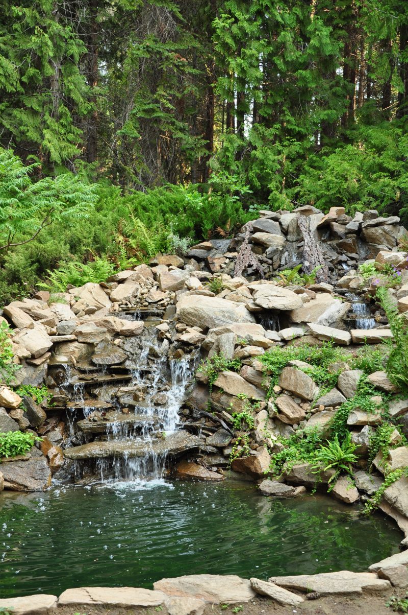 Planning a Pond Waterfall - Aquarium Connection